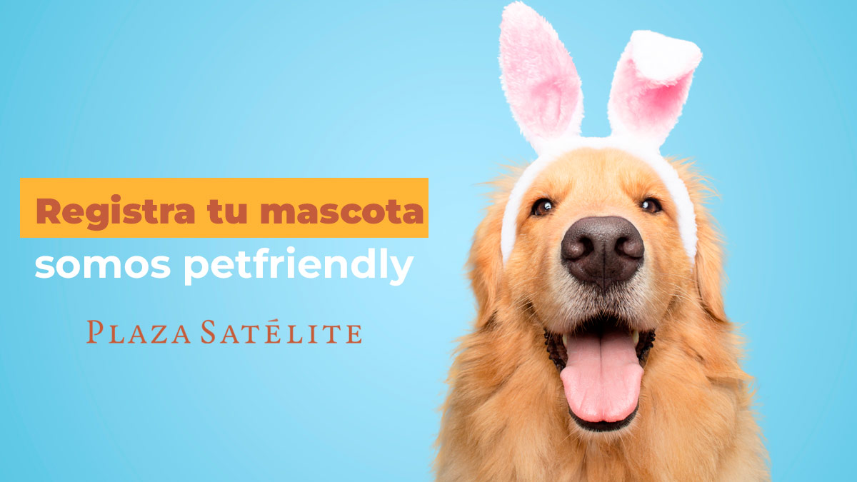Registro Pet Friendly Pla.Sa - Porque sabemos que tú y tu mascota son felices en Pla.Sa